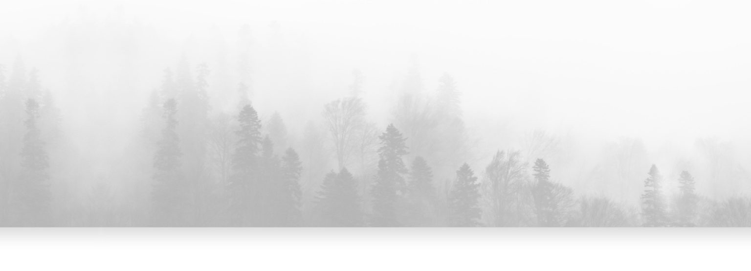 Contact - Damon Howatt